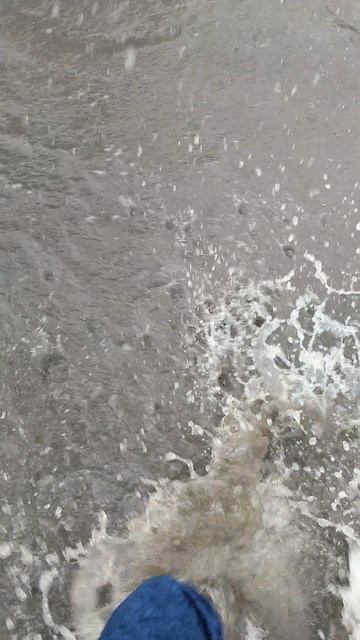 Только вперёд! Без вариантов.