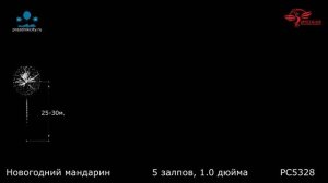 РС5328