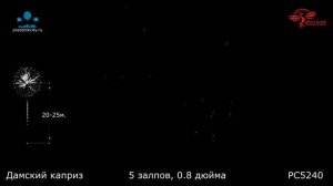 РС5240