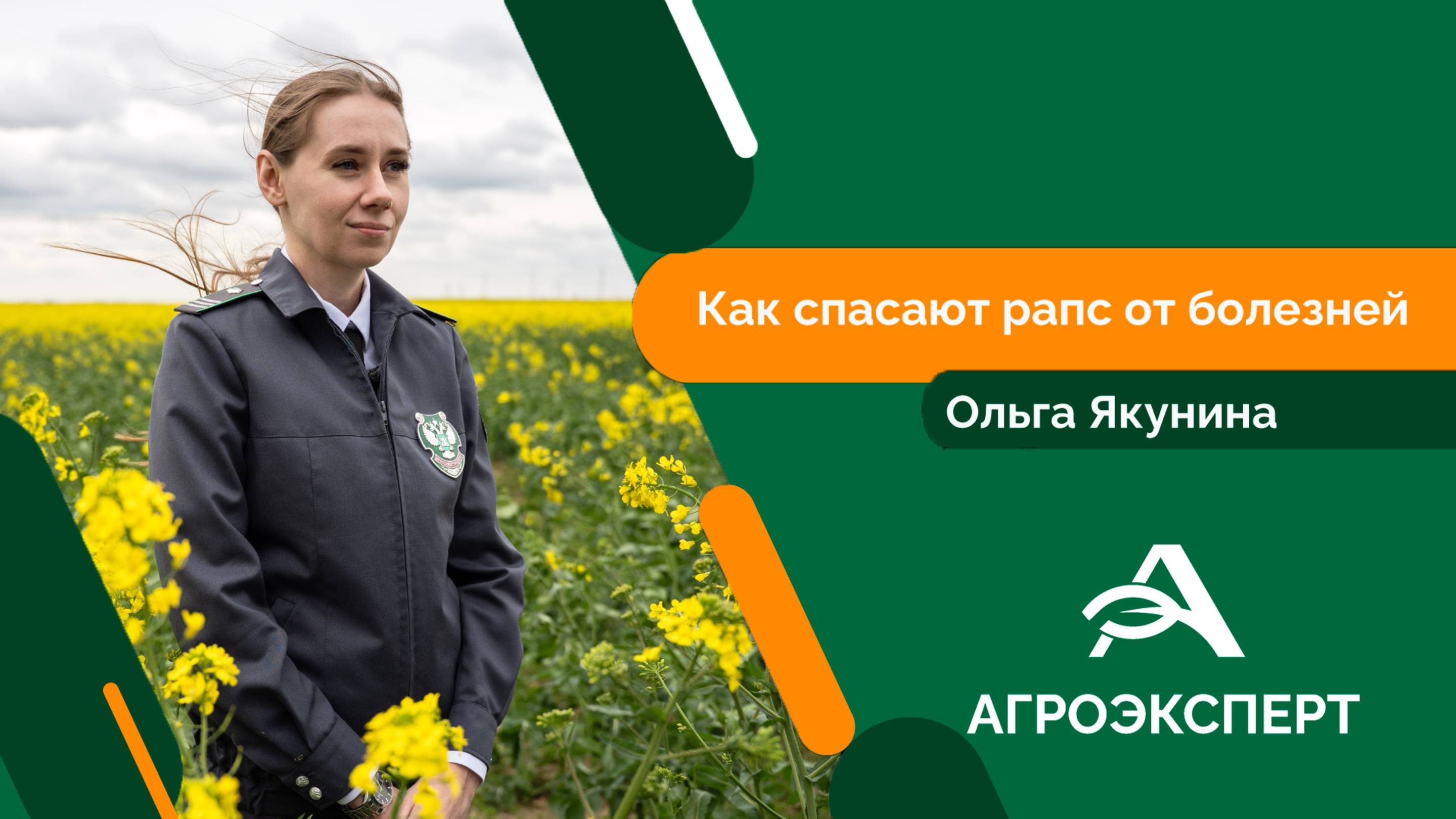 Мониторинг в растениеводстве: наблюдать, анализировать, предсказывать