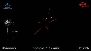 РС5376