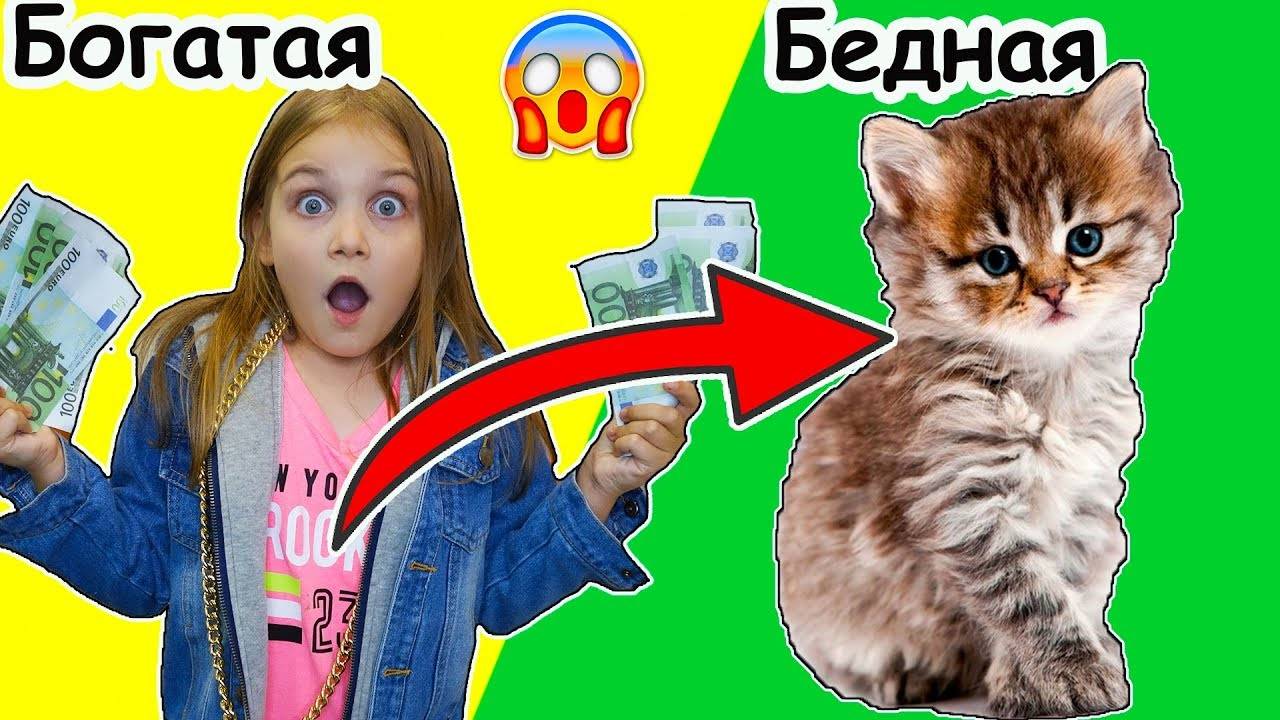 Богатая девочка превратилась в бедного котёнка 💎➡️🐾 | Волшебная история! | Мимилашка