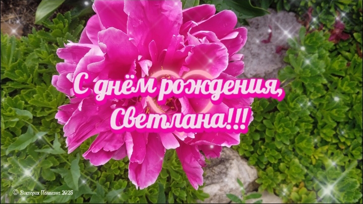 С днём рождения, Светлана!