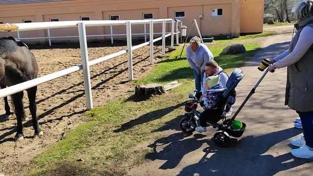 27.04.2024. Ника гуляет