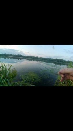 Рыбалка на лесенку.