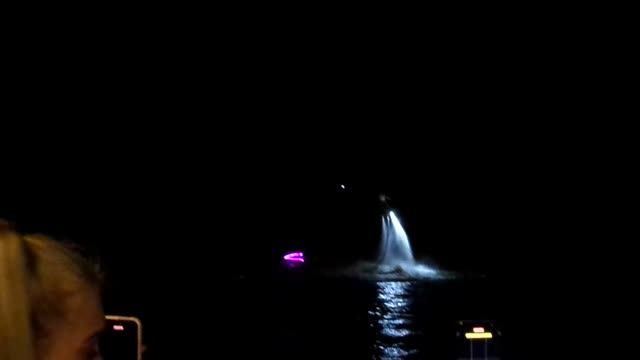 СВЕТОВОЕ ШОУ НА ВОДЕ
АКРОБАТИКА