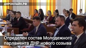 Определен состав Молодежного парламента ДНР нового созыва