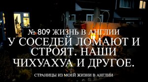 У соседей ломают и строят. Наши чихуахуа сходят с ума. Добавить секции. № 809 Жизнь в Англии