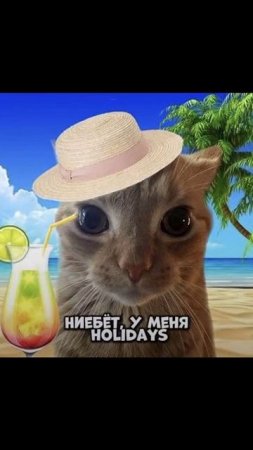 НУ РИЛ ЖЕ😍||опис ||