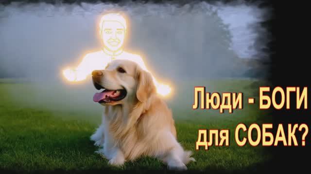 Люди - БОГИ для СОБАК?
