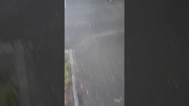 снова чистополь