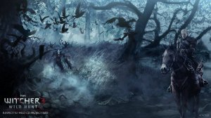The Witcher 3. Дикая охота #5