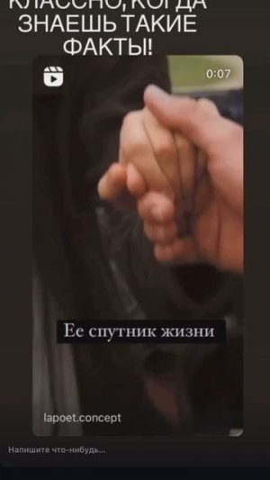 Гордость и предубеждение