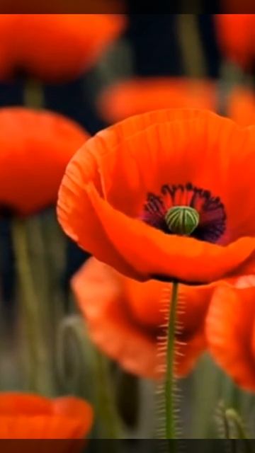 ❤️ Доброго летнего утра!