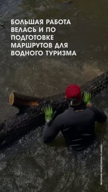 Туристы против борщевика