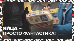 ЯЙЦА НА ВЕС ЗОЛОТА? | Перепроизводство яиц, почему цены низкие | Специальный репортаж