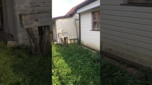 Участок 107, 2020, СНТ Северка, МО