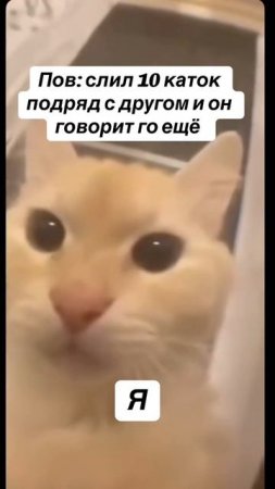 😂 когда слил 10 каток с тиммейтом ,тем временем Я:🤣👍| #сезонконтентаRUTUBE #рек #рекомендации