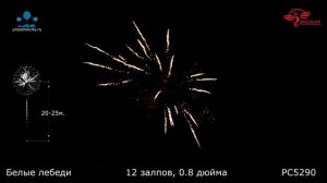 РС5290