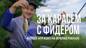 Караси как в детстве!  Вечерняя фидерная рыбалка налегке!
