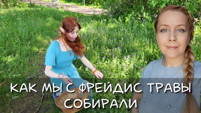 Сбор трав на Финском заливе. Влог.