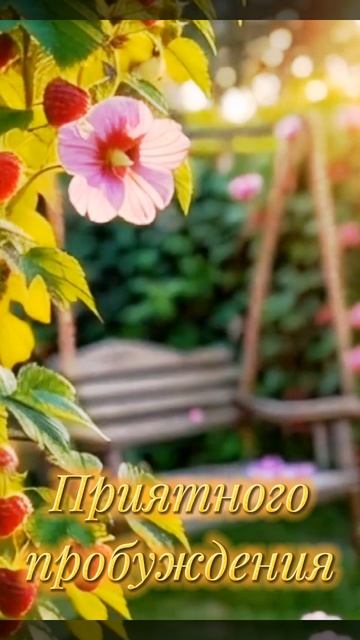 ❤️ Прекрасного начала дня!