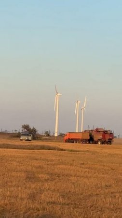 Отпуск Котлов 2025