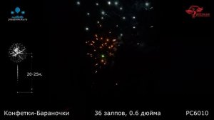 РС6010
