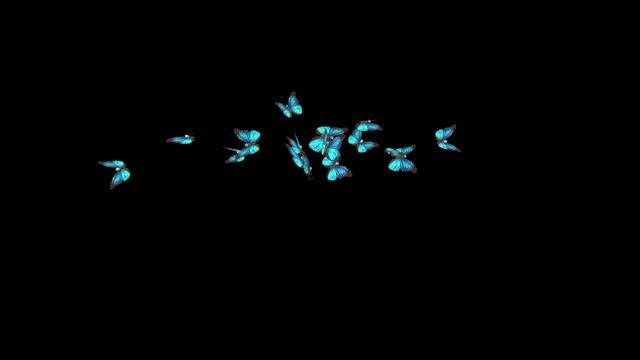 ФУТАЖ  -  БАБОЧКИ ЛЕТАЮТ