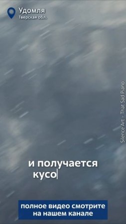 Фермер из Удомли о том, как спасал белугу