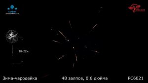 РС6021