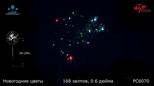 РС6070