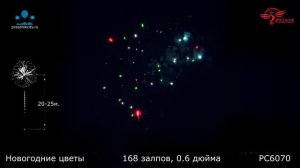 РС6070