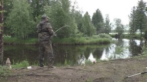 НАШЛИ В ЛЕСУ  БОЛОТО С РАЗНОСОРТНОЙ РЫБОЙ!!! ЩУКА, ОКУНЬ, ЯЗЬ, СОРОГА ВСЕХ ПОЙМАЛИ)))