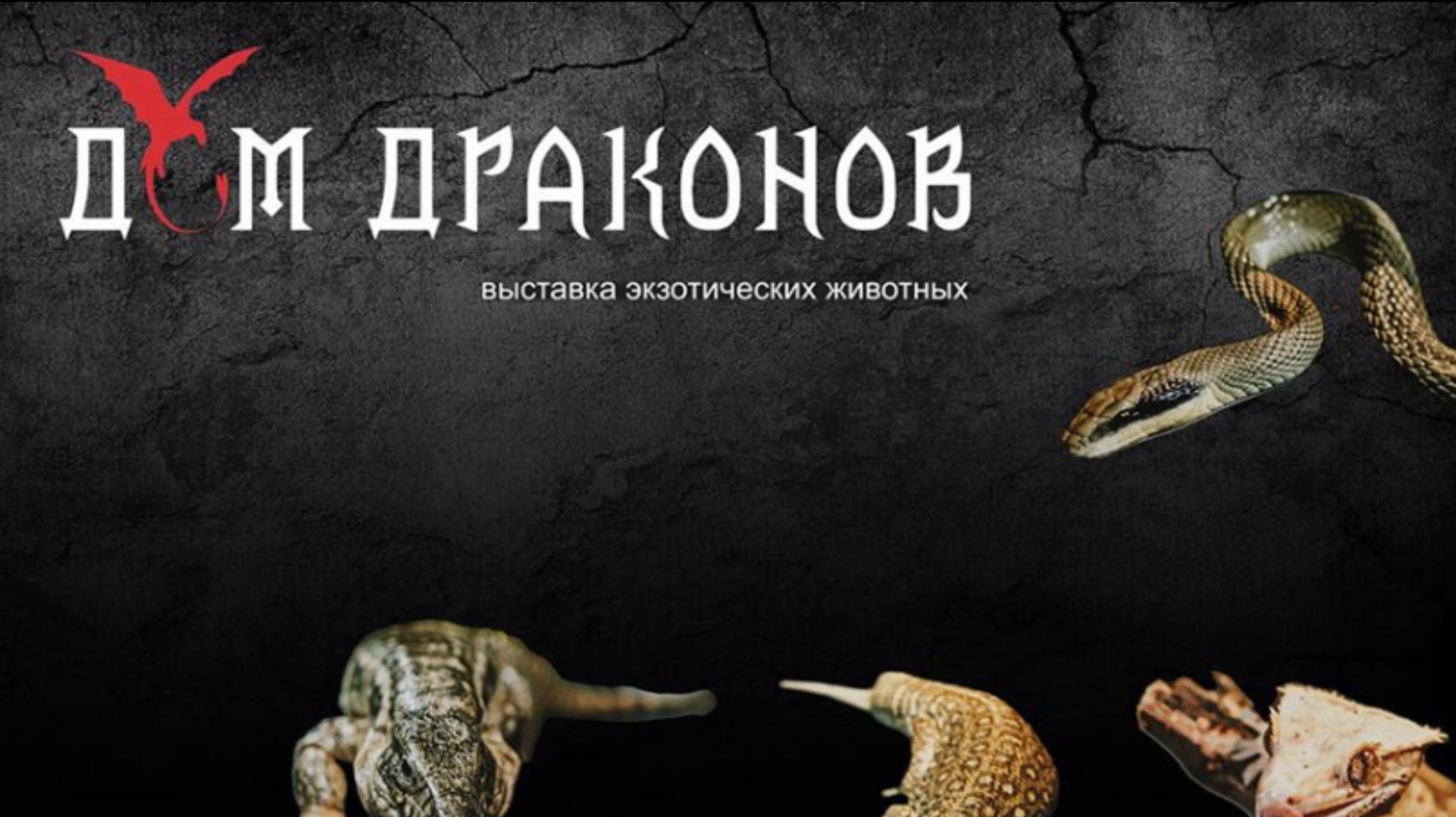 Дом драконов (5). Тонкохвостый полоз Дымок.