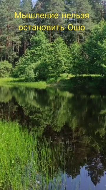 (27) Мышление нельзя остановить Ошо