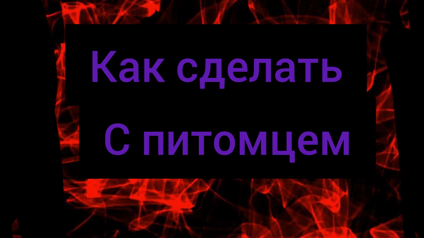 Как сделать питомца в чикен ган