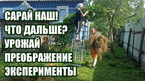 43. САРАЙ НАШ! ВЕРАНДА ВСЕ КРАШЕ. УРОЖАЙ ЛУКА. ОБРЕЗКА ВИНОГРАДА. ЖИЗНЬ В НОВГОРОДСКОЙ ДЕРЕВНЕ.