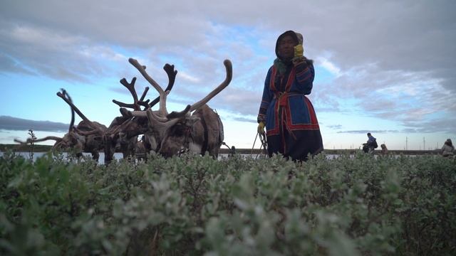 Проводили к морю бесконечных путешественников