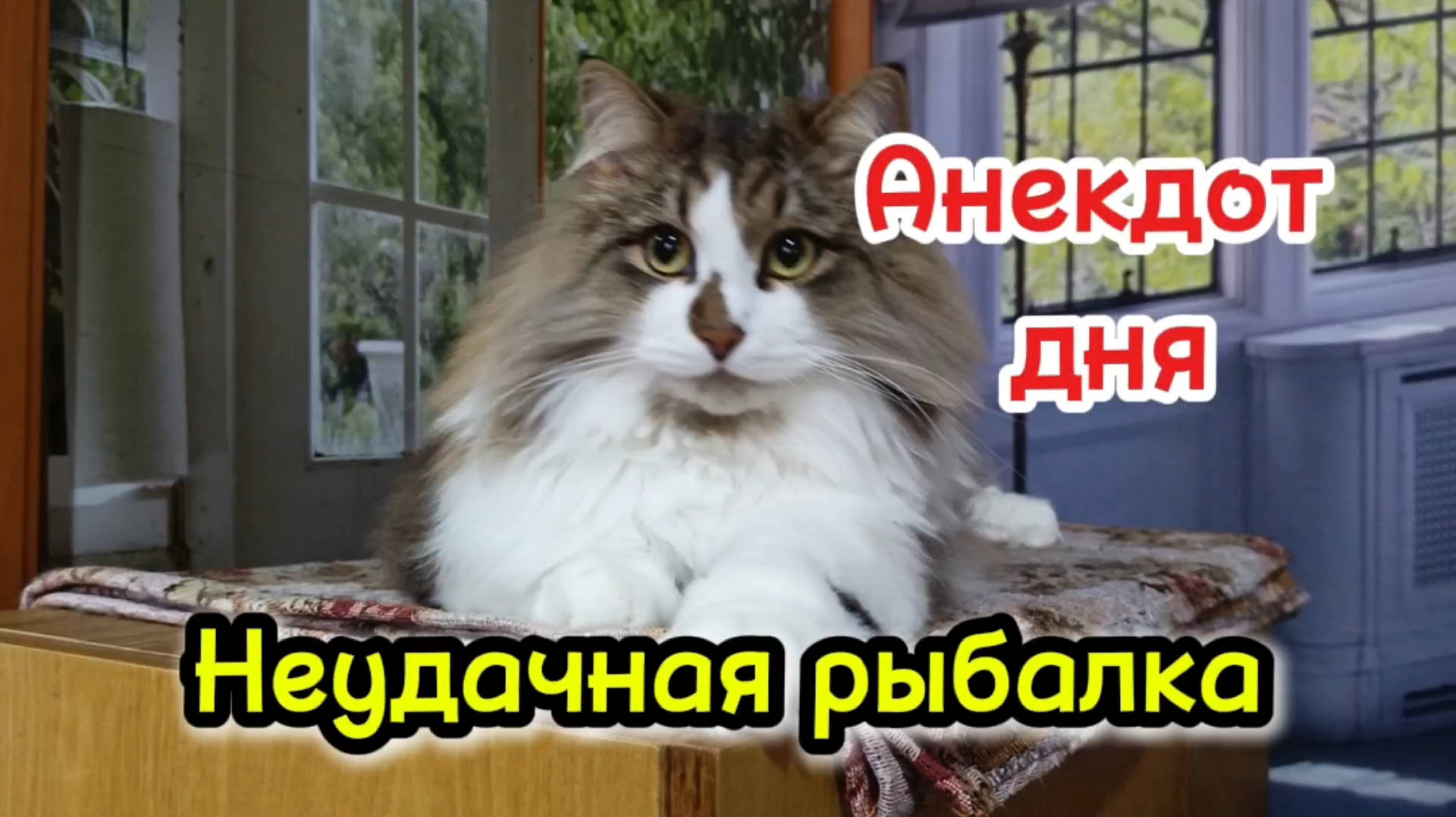 Анекдот дня. Про неудачную рыбалку.
