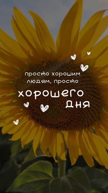 Хорошего дня. Музыкальная открытка поздравление.