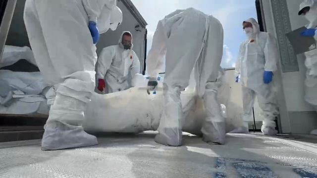 Между Россией и Украиной состоялся новый обмен телами погибших военных.