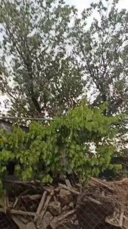 У нас ураган в 18 часов 17 июля 2025 г.