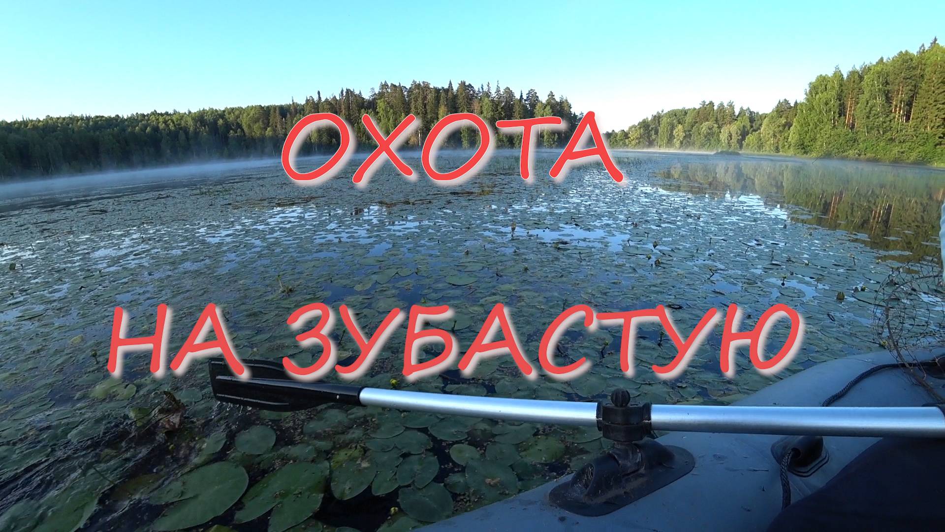 ЛОВЛЯ ЩУКИ! МЫШ ЕЕ НАШЕЛ И ВЫМАНИЛ, А ЭТОЙ ПРИМАНКОЙ ДОБИЛ