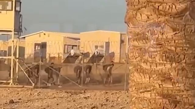 Российские туристы в Египте получили звуки стрельбы с 7 утра, а также запрет на выход к пляжу и морю