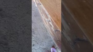 всех жду на эфире