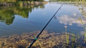 Рыбалка на спиннинг 17 июля 2025. Рыбачил 1 час. Красивый водоем, природа и лето.