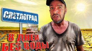 Сломанный триммер и отсутствие воды: Моя борьба за выживание!
