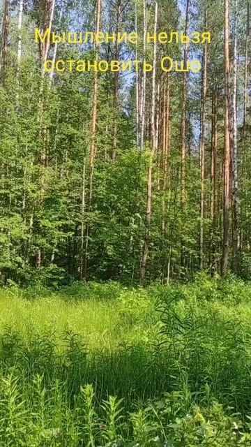 (22) Мышление нельзя остановить Ошо