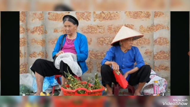 "Harvesting Melons in the Field to Sell at the Market - Cooking a Nutritious ".Trieu Mai Huong